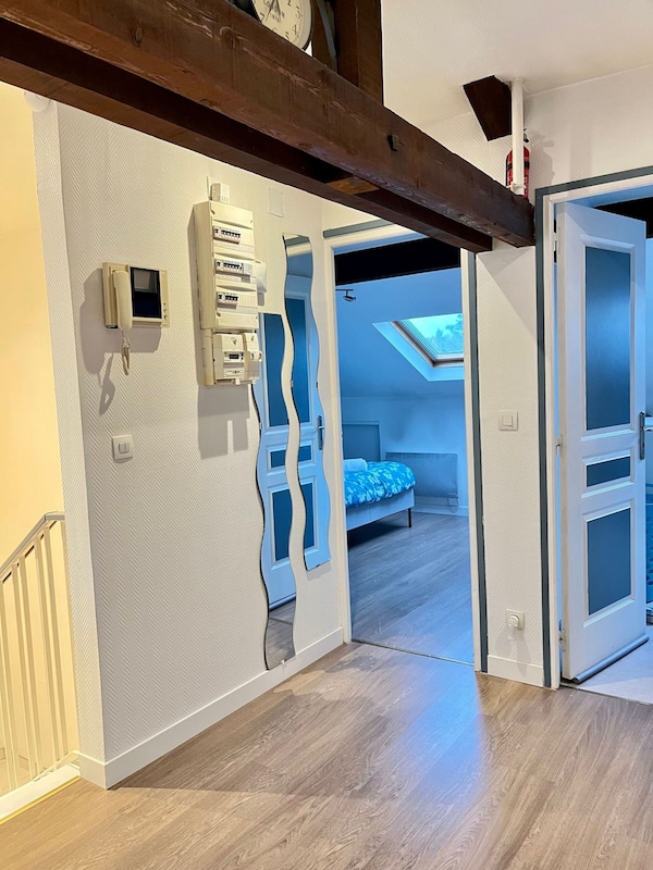 Pin's - Magnifique Appartement - Sarrebourg