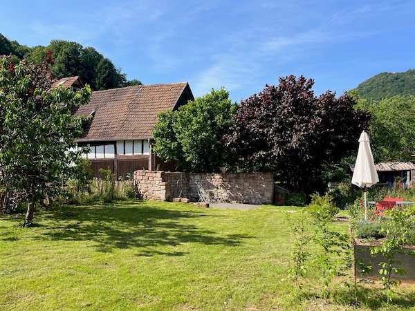 Haus Nothweiler "Alte Scheune" - Haus Nothweiler - Fischbach bei Dahn