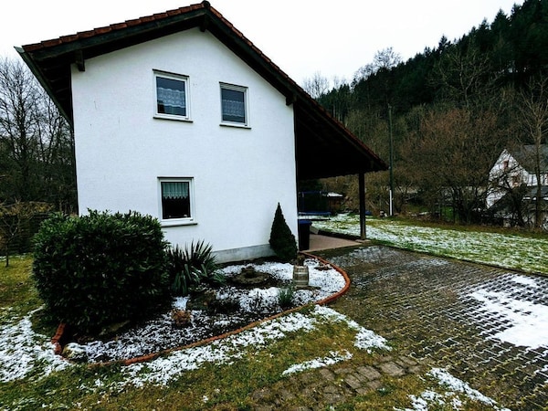 Vacation Home Forellennest Am Waldrand - 6-bed Vacation Home, 2x Bath/wc, 3 - Daun