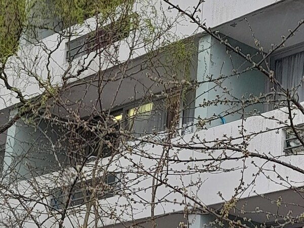 App. 3.8 - Appartement/fewo, Bad, Wc, Wohn-/schlafraum - Bad Bergzabern