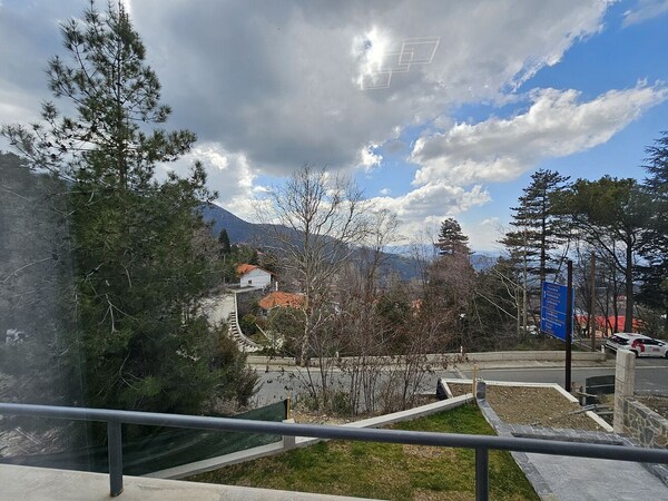 3-bedroom Villa In Charming Prodromos 1400 Above Sea Level With Sauna,  Wifi - Cyprus