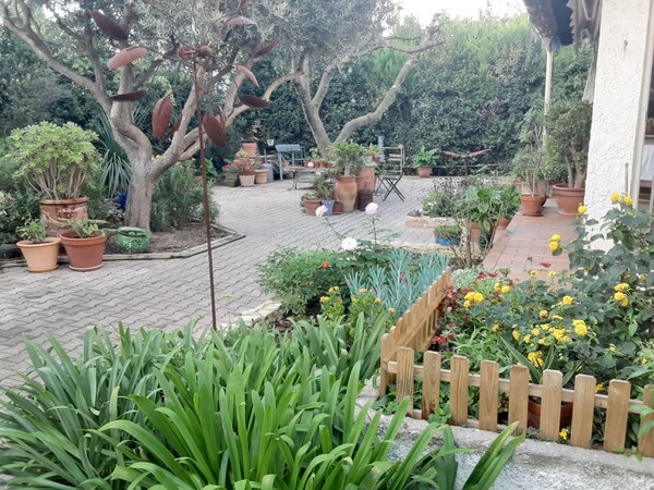 Bienvenues Dans Ce Petit Nid Douillet De 40 Mettre Carré Avec Accès Au Jardin. - Vauvert