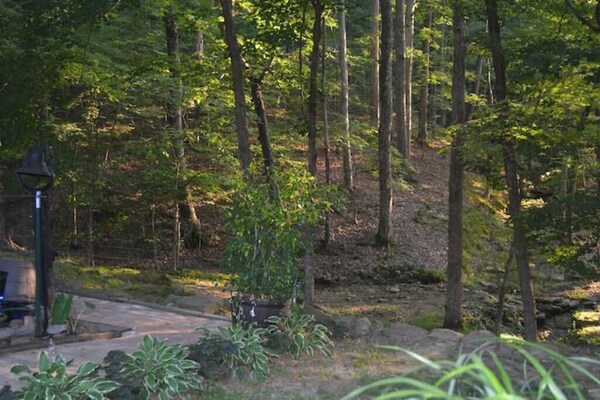 Black Ridge Cabin Llc - Illinois