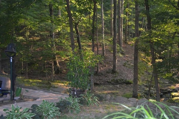 Black Ridge Cabin Llc - Illinois