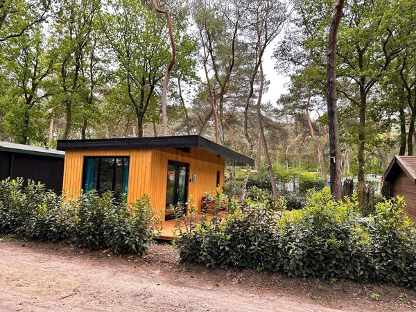 Leuk Gezellig Knus Huisje Aan Rand Zandpad En Uitzicht Over Weiland. - Hoogeveen