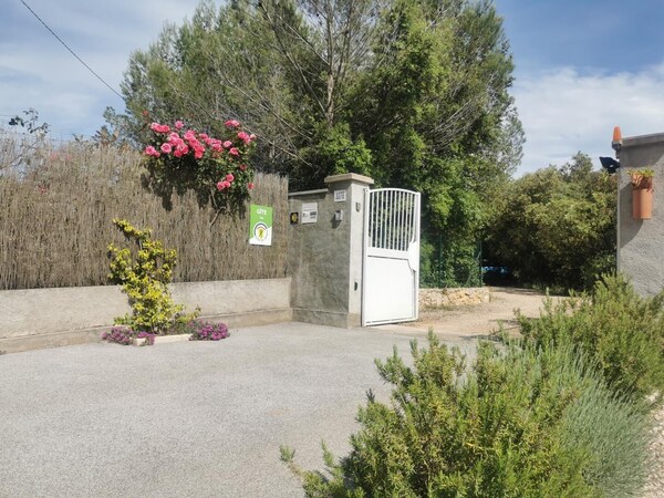 Le Cigalon - Saint Maximin La Sainte Baume - Saint-Maximin-la-Sainte-Baume