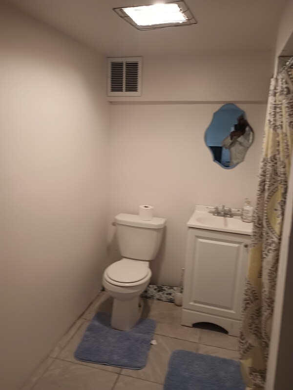 Clean, Quiet Safe Place In Queens. Around The Corner From Green Acres Mall - Roslyn, NY