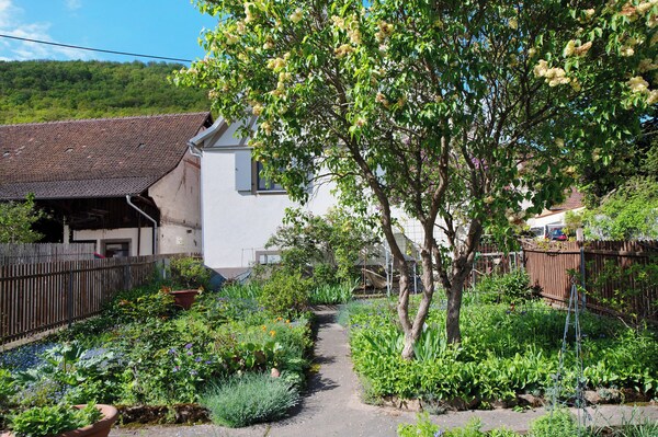 Ferienhaus 'Hildahüsli' Mit Gemeinsamer Terrasse, Gemeinsamem Garten Und Wi-fi - Müllheim