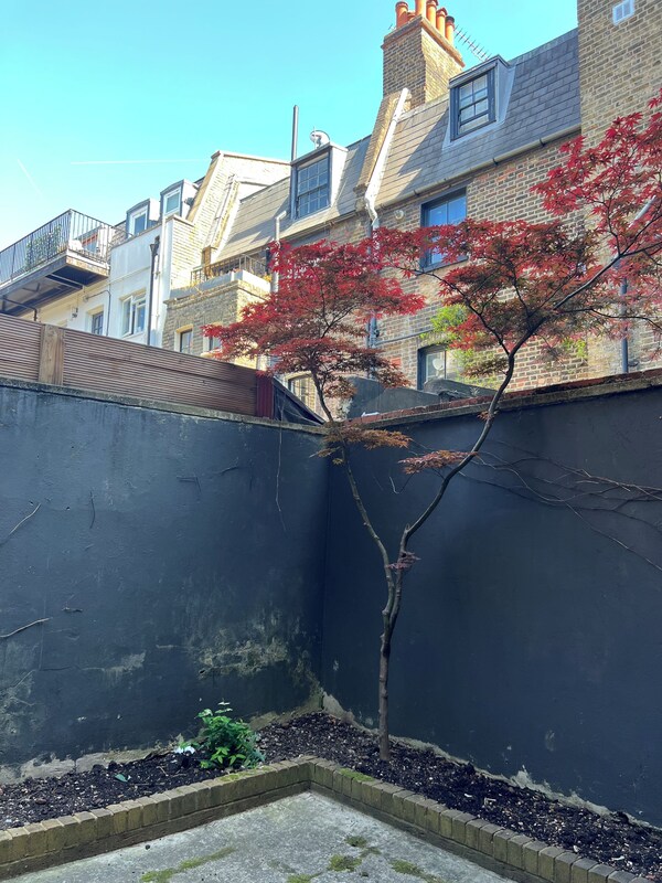 Spacious 3 Bed Apartment In Central London - Hertfordshire