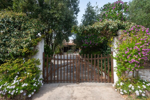 Rustic Gallurese - Sardaigne