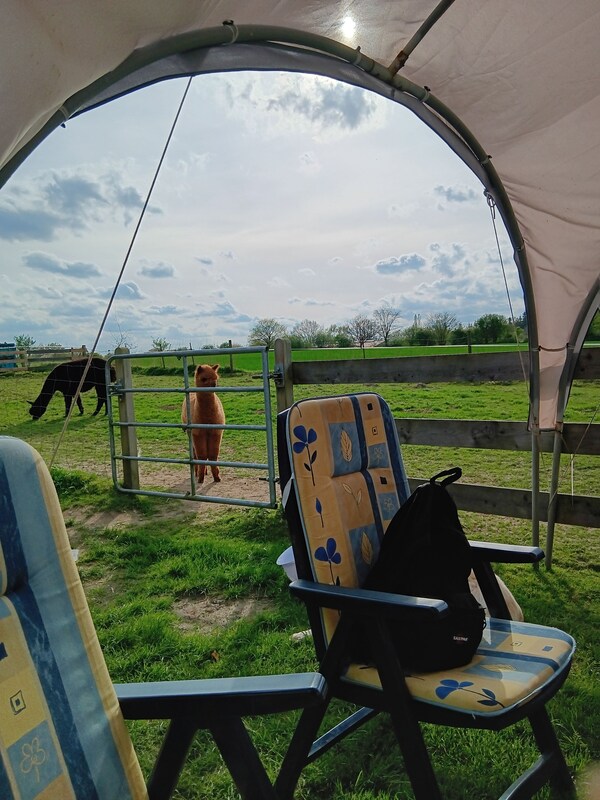 Cozy Alpaca Hut At The Sonnenscheinhof Alpakas - Bad Oldesloe