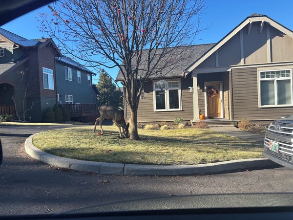 Cozy 2-bedroom Townhome In Serene Bend With Gas Fireplace; Deck; & Full Kitchen - Bend, OR