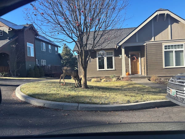 Cozy 2-bedroom Townhome In Serene Bend With Gas Fireplace; Deck; & Full Kitchen - Bend, OR