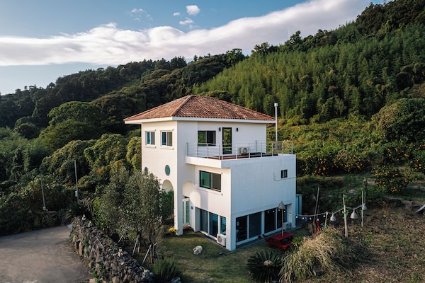 Nature-lovers Jeju Escape, Private Forest Stay With Seasonal Blooms & Skies - 서홍동