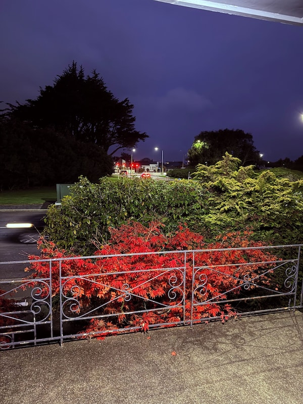 Comfort At Stag Lodge Just Mins Walk To Queens Park & Down Town Invercargill - Invercargill