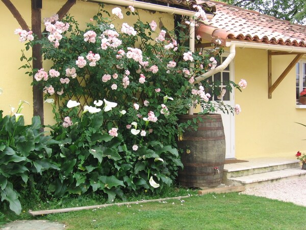 Charming Gîte In Beautiful Sw France Countryside - Gers