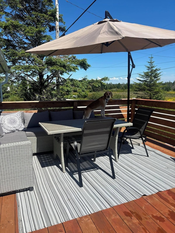 Cozy Getaway! - Oceanview Nova Scotian Sailor's Cottage With Modern Amenities - Yarmouth