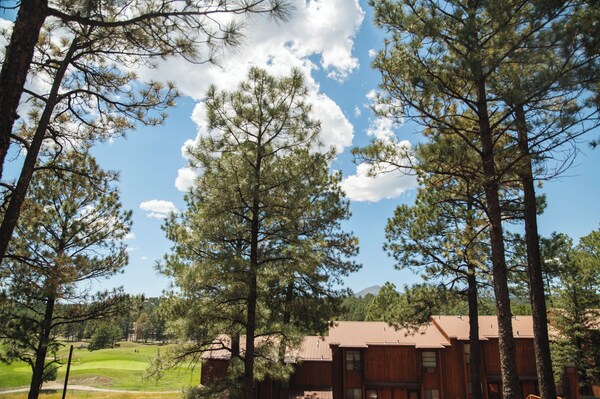 Cozy 2-bedroom Condo In Charming Ruidoso With Wifi - Ruidoso, NM