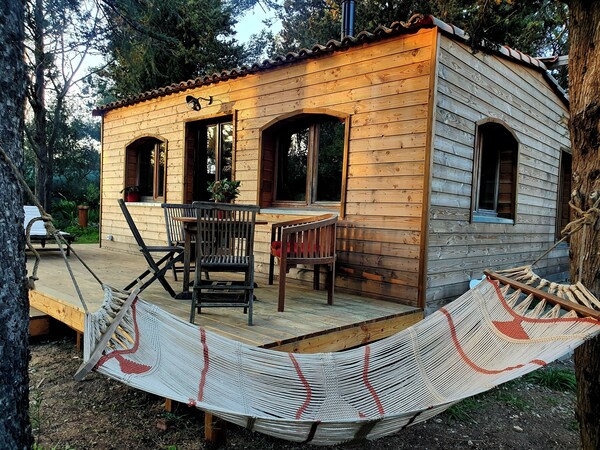 Chalet En Pleine Nature Sur Terrain Arboré, Hamac, Ping-pong, Massage, Yoga. - Bouzigues