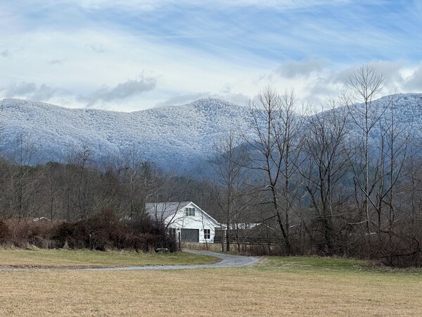 Charming 1-bedroom Apt In Lovely Young Harris With Ac, Wifi And Highland Cows! - Young Harris, GA