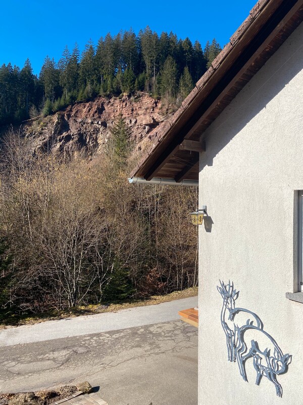 Ferienhaus 'Holzwald' Mit Privater Terrasse Und Wi-fi - Kniebis