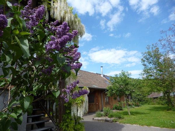 Chalet For Family Vacations And Nature Lovers. Pets Welcome. - Elsass