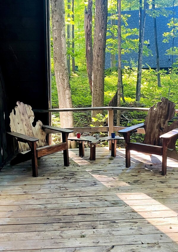 Beautiful Ski Chalet With Sauna Near Harbor Springs - Petoskey, MI