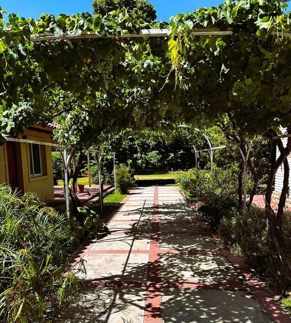 Spacious Chalet With 9 Bedroom,ac, Wifi, Pool, 8000m2 Park In Chacras De Coria - Mendoza