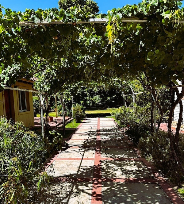 Spacious Chalet With 9 Bedroom,ac, Wifi, Pool, 8000m2 Park In Chacras De Coria - Mendoza