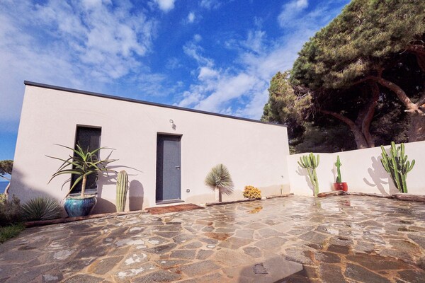 3-bedroom Villa With Garden And Pool With Sea View In Calvi - Calvi