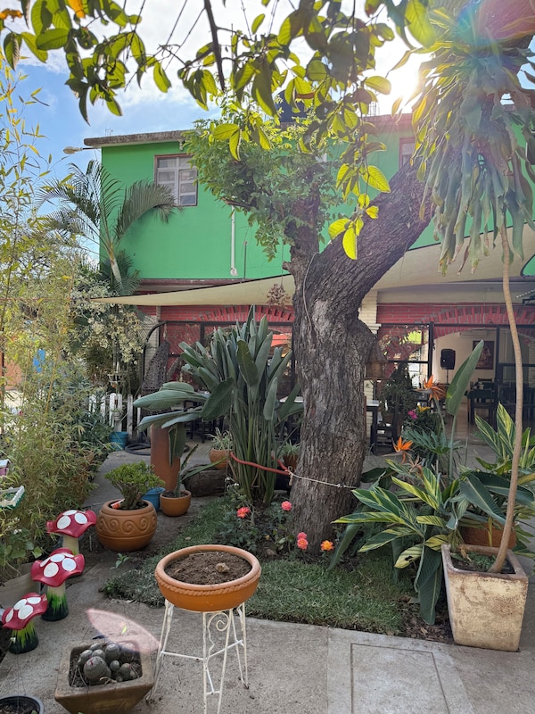 Vrbo Property - Oaxaca