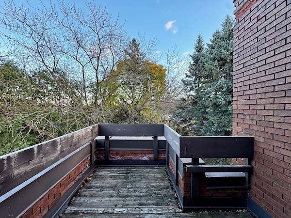 Old Brick Style Mansion With Indoor Pool - Toronto
