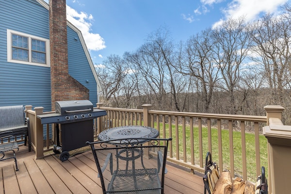 Not-so-tiny Tiny House With High-speed Internet, 60-inch Tv, Deck, And More! - Galena, IL