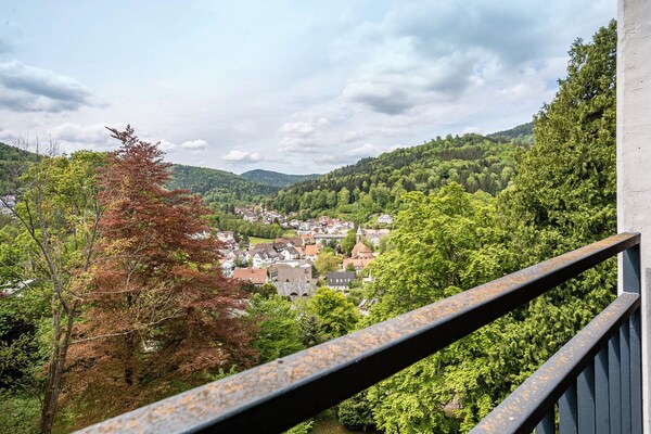 Studio '146' Mit Gemeinschaftsgarten Und Wi-fi - Straubenhardt