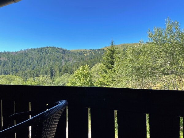 Apartment Hermelin, Retreat Below The Feldberg Summit! - Hinterzarten