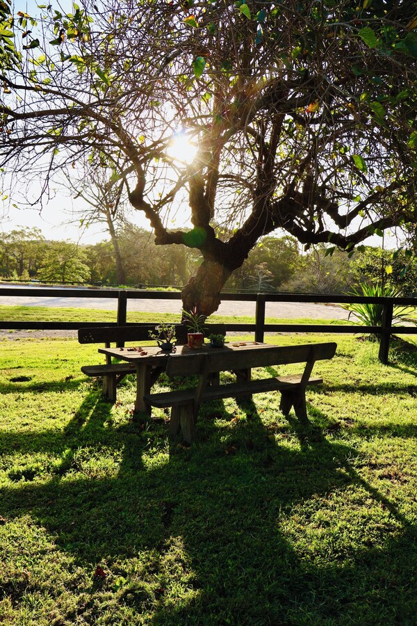The Charming Studio\nescape To Somersby  A Peaceful, Pet-friendly Retreat - Australian Reptile Park, Somersby