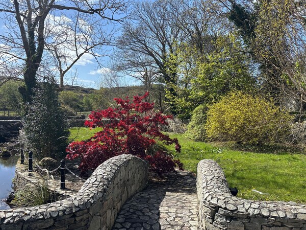 Property 490 - Clifden - Sleeps 25 Guests  In 10 Bedrooms - Clifden