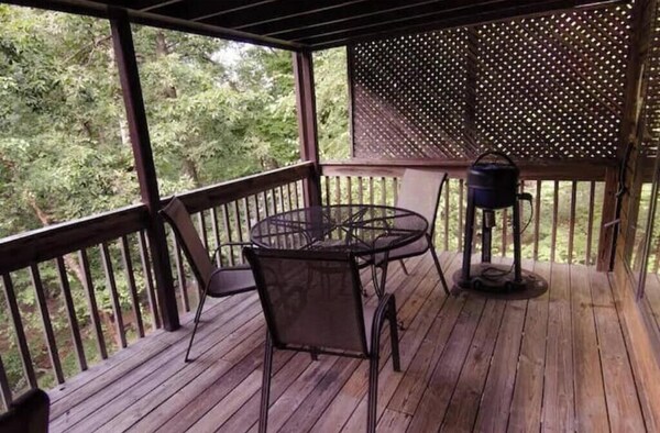 Cute Lil Cabin W/hottub Overlooking The Trout Pond - Asheville, NC