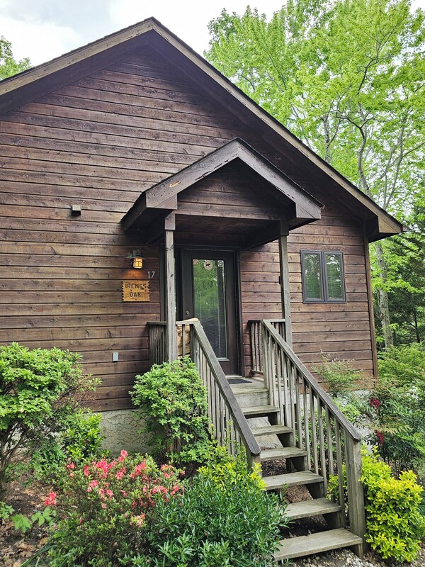 Darling Cozy Cabin W/hot Tub - Asheville, NC