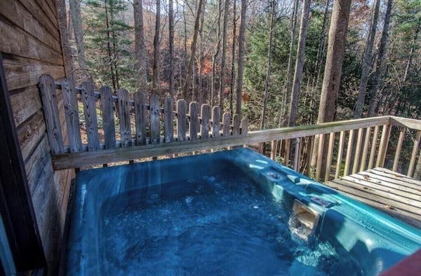Favorite Mountain Cabin Overlooks Trout Pond - Asheville, NC