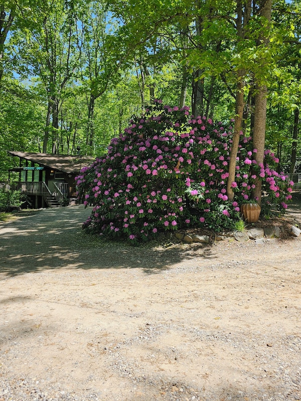 Peaceful Cabin In The Mountains /W Hot Tub - Asheville, NC