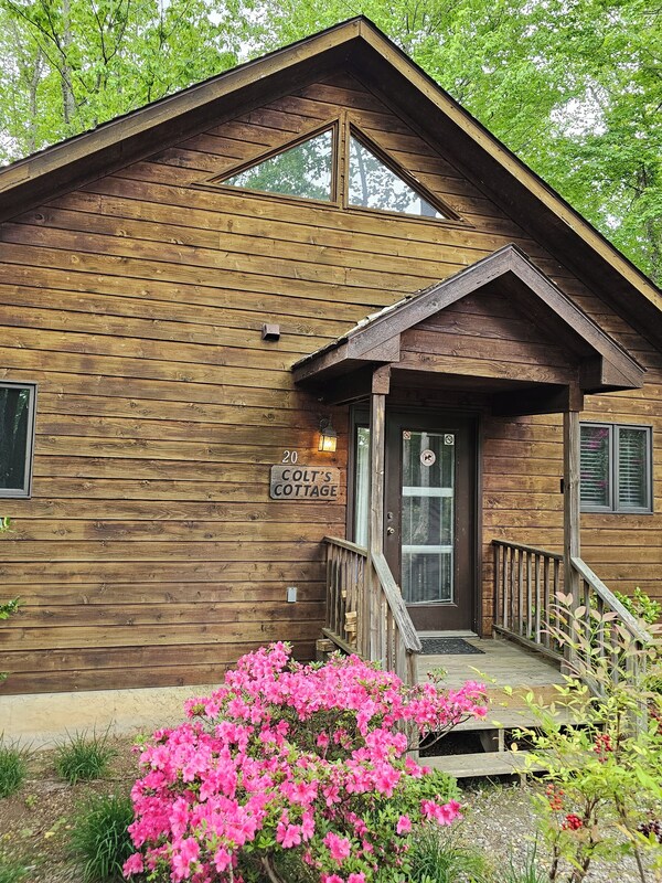 Cozy Cabin W/hot Tub Access To Mtn To Sea Trail - Asheville, NC