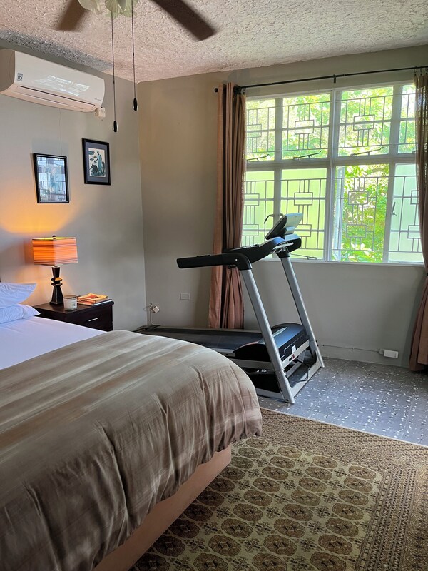 Charming B&b With Ac, Treadmill, Wifi In Soothing Stony Hill Close To Manor Pk. - 京士頓