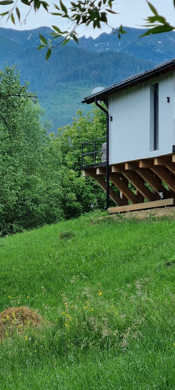 Charming Cabin Bran 1-bedroom Cabin - Zărnești