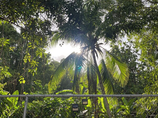 Modern 1-bedroom Apartment With Ac, Wifi And Kitchen In Beautiful Negril . - Negril