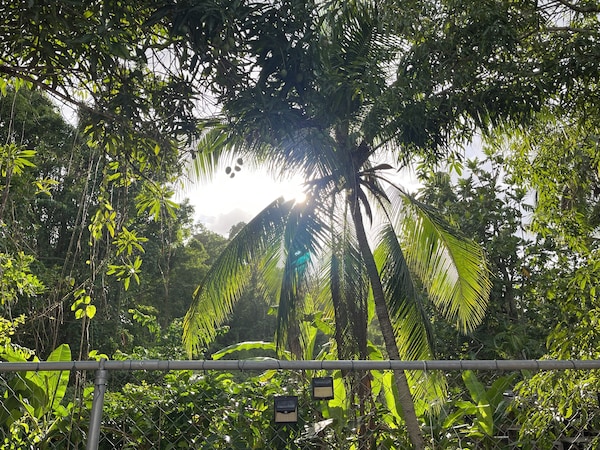 Modern 1-bedroom Apartment With Ac, Wifi And Kitchen In Beautiful Negril . - Negril