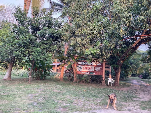 Flores Exóticas Cozy Cabin Charming 1ra. Sección De Guillén Oriente Wifi, Ac - Tapachula