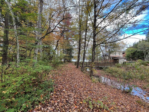 Grandparents Cottage 250 Steps To The Lake - Great Barrington, MA