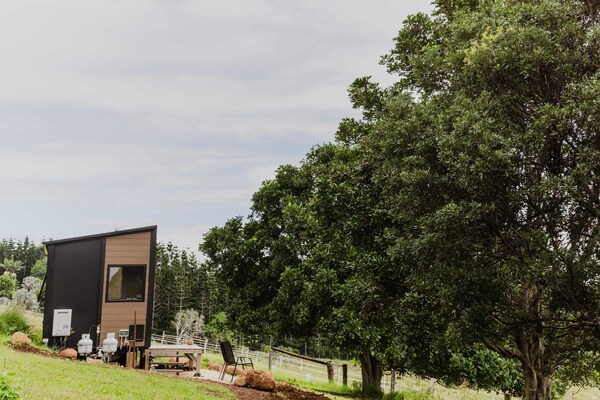 8 Farm Macadamia Plantation 1 By Tiny Away - Alstonville