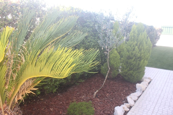 Arrábida Sweet Home Your Vacation Retreat, Close To The Beach, The Countryside And The City - Quinta do Conde